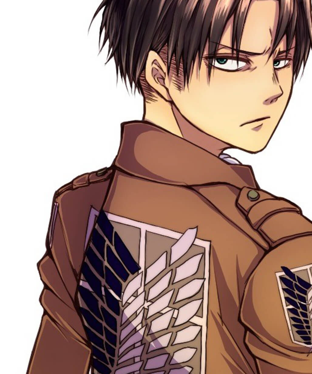 Attack On Titan 2013 Scout Regiment Brown Cropped Costume Jacket - USA ...