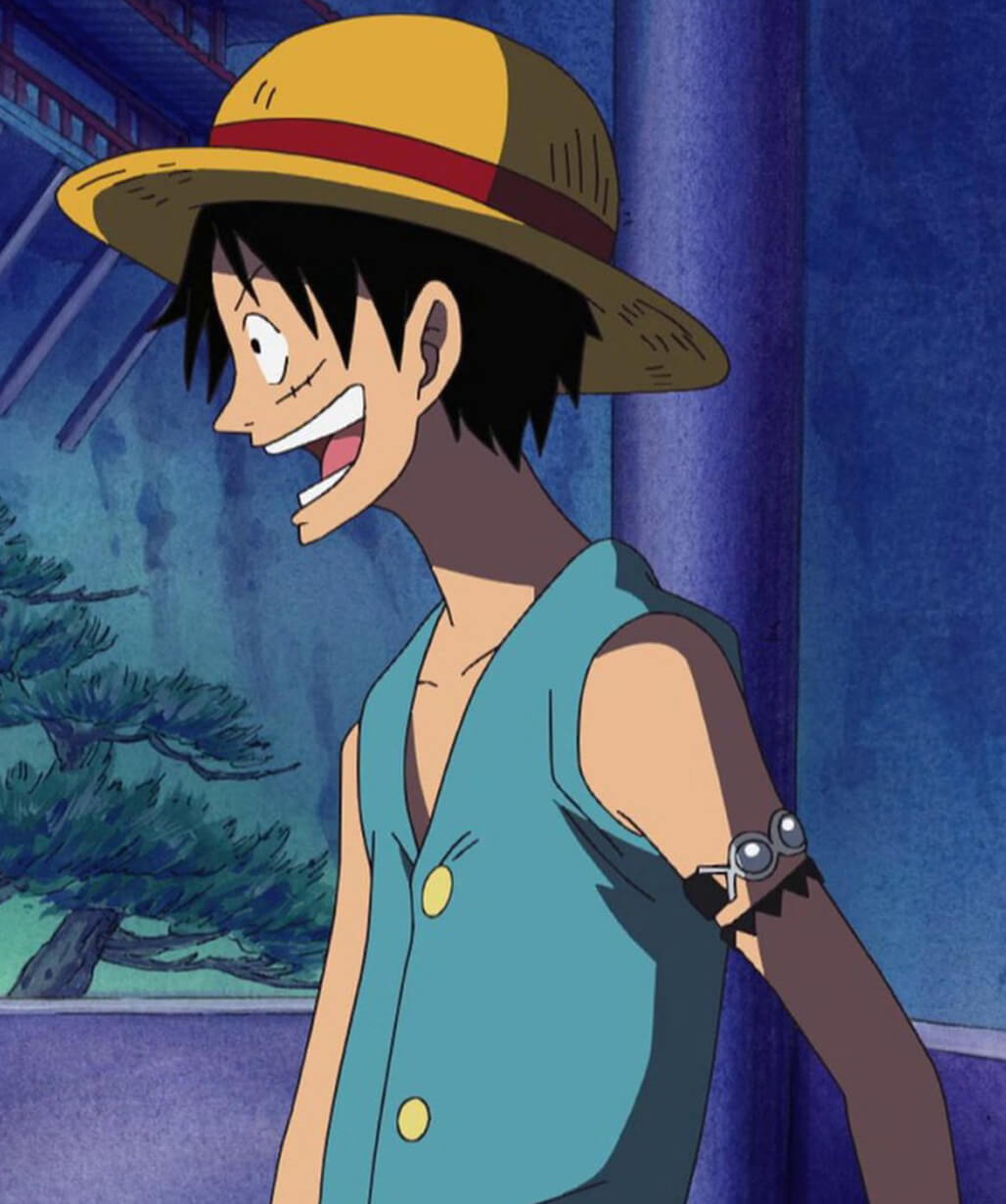 One Piece 1999 Monkey D. Luffy Blue Vest - USA Leather Factory