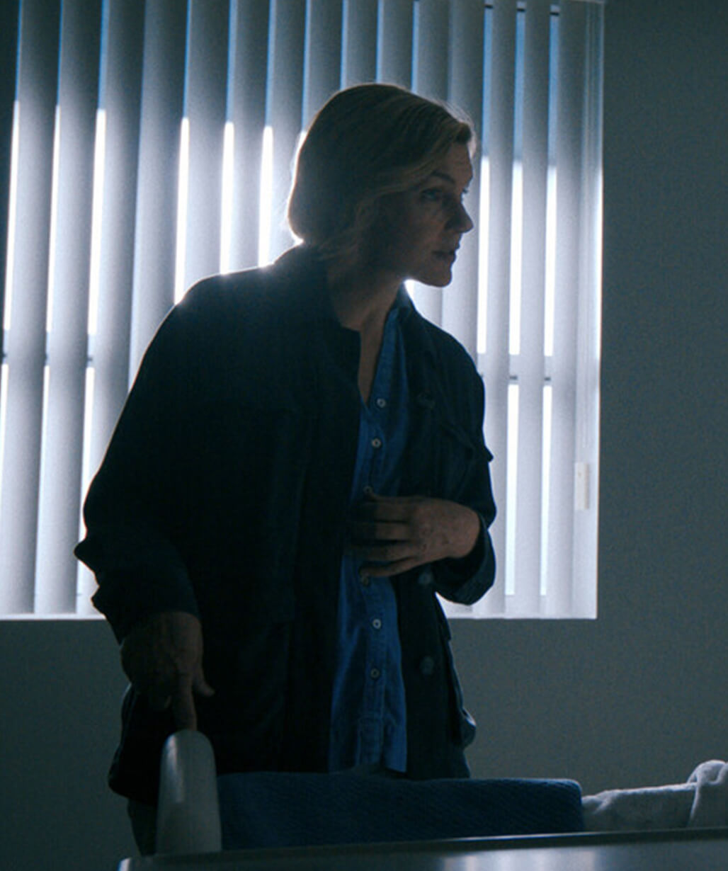 Pluribus S01 Rhea Seehorn Carol Blue Jacket - USA Leather Factory